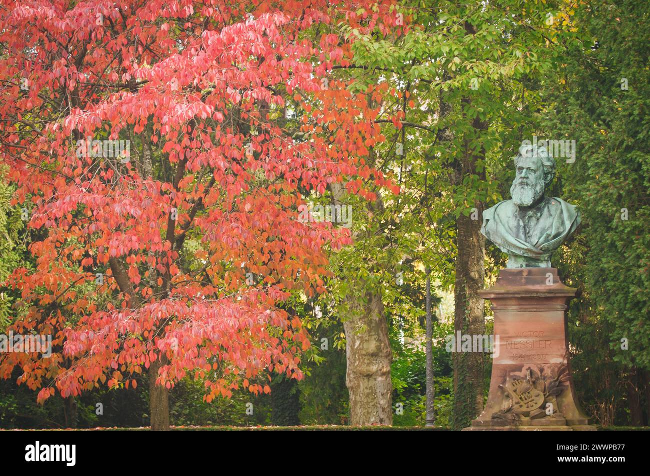 different aspects of colors in nature during autumn period Stock Photo ...