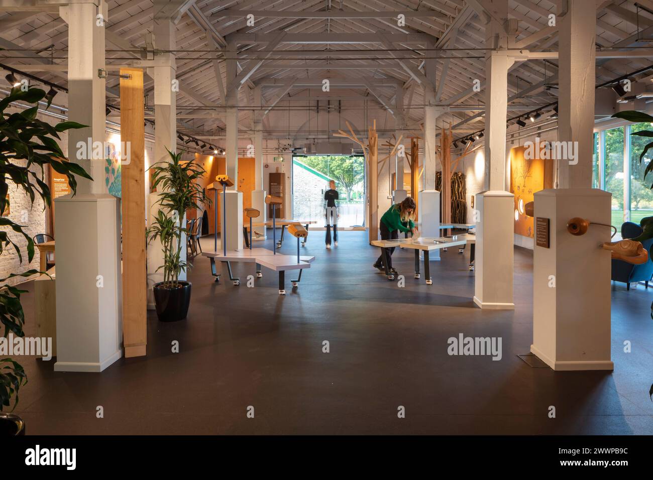 Hainault forest activity space hi-res stock photography and images - Alamy