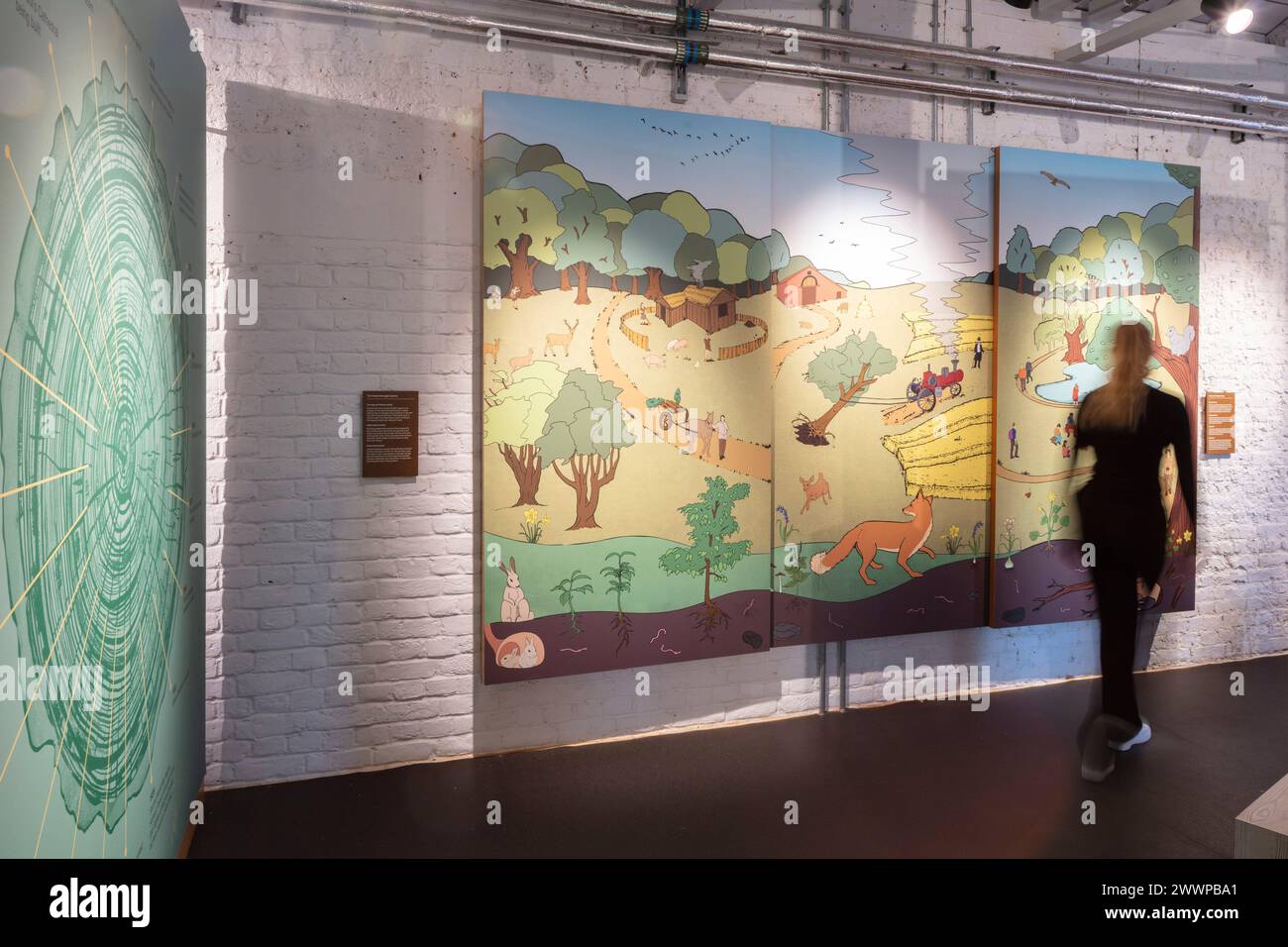 Exhibition space, with various displays about the surrounding area ...