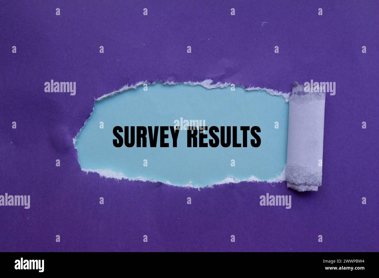 Survey results words written on purple torn paper with blue background ...