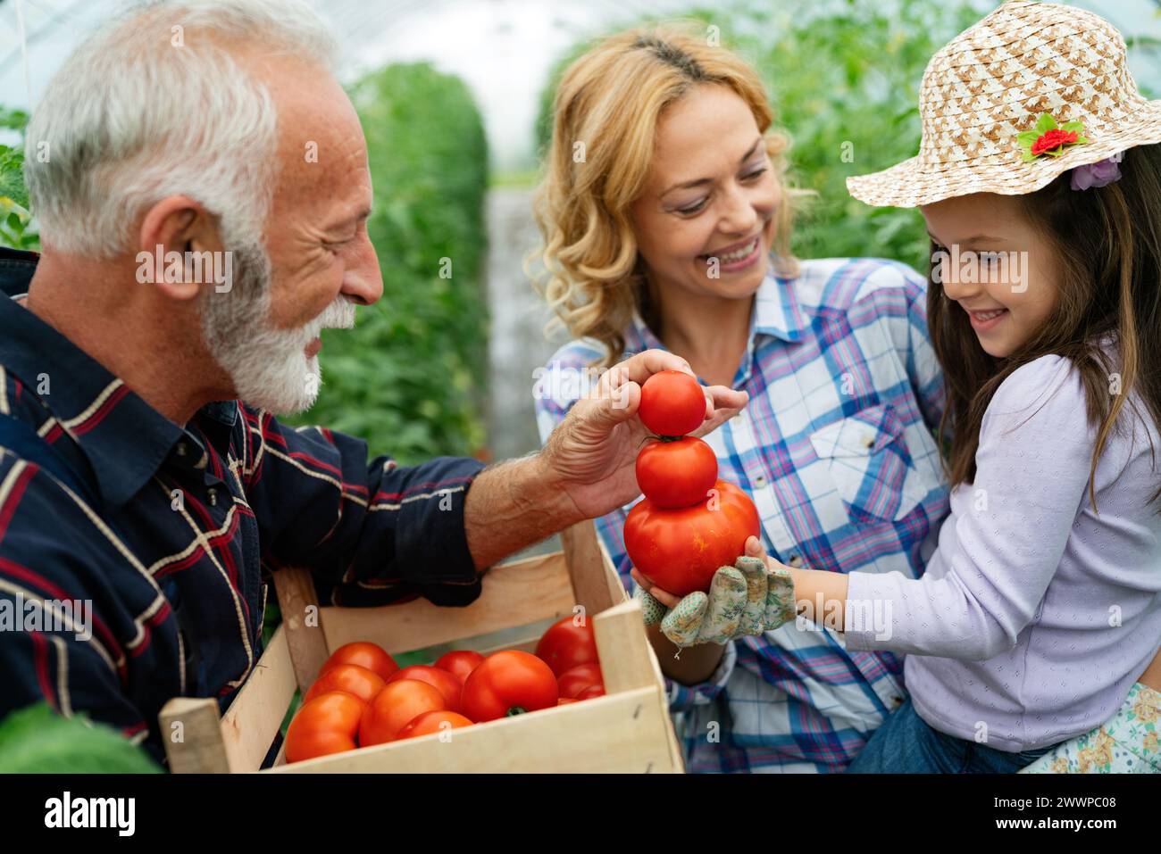 Family working together in greenhouse. Multigenerational family while ...