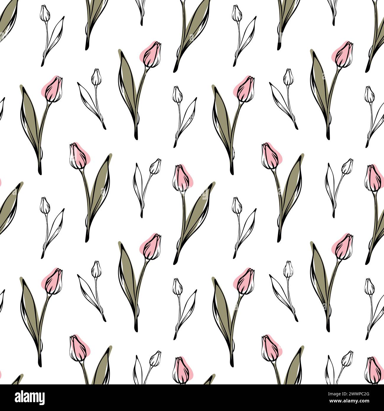 Sketch-style tulip pattern, on white background for unique packaging ...