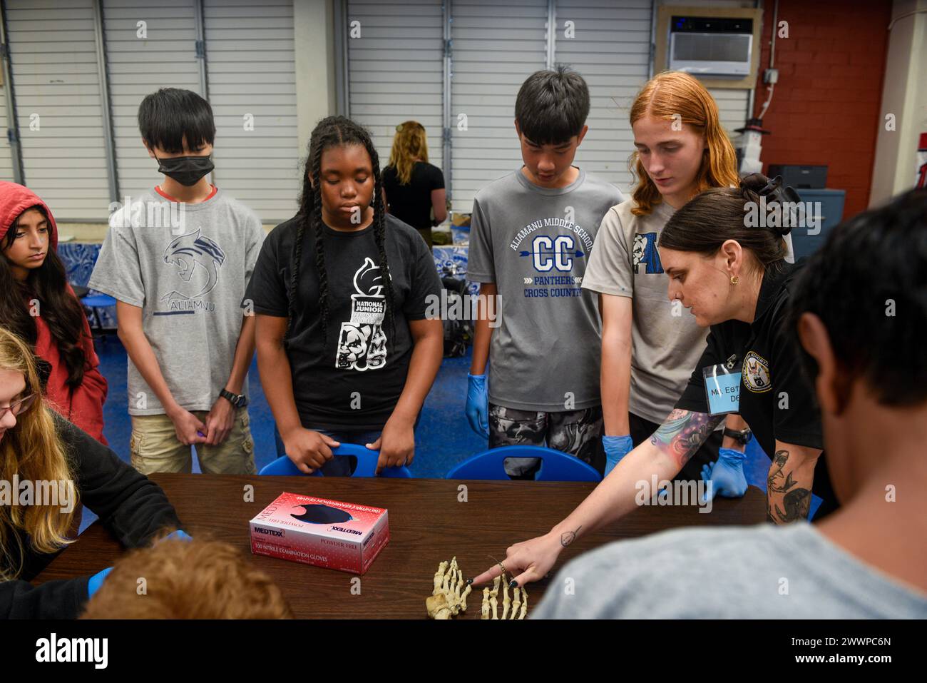 Dpaa forensic anthropologist hi-res stock photography and images - Alamy