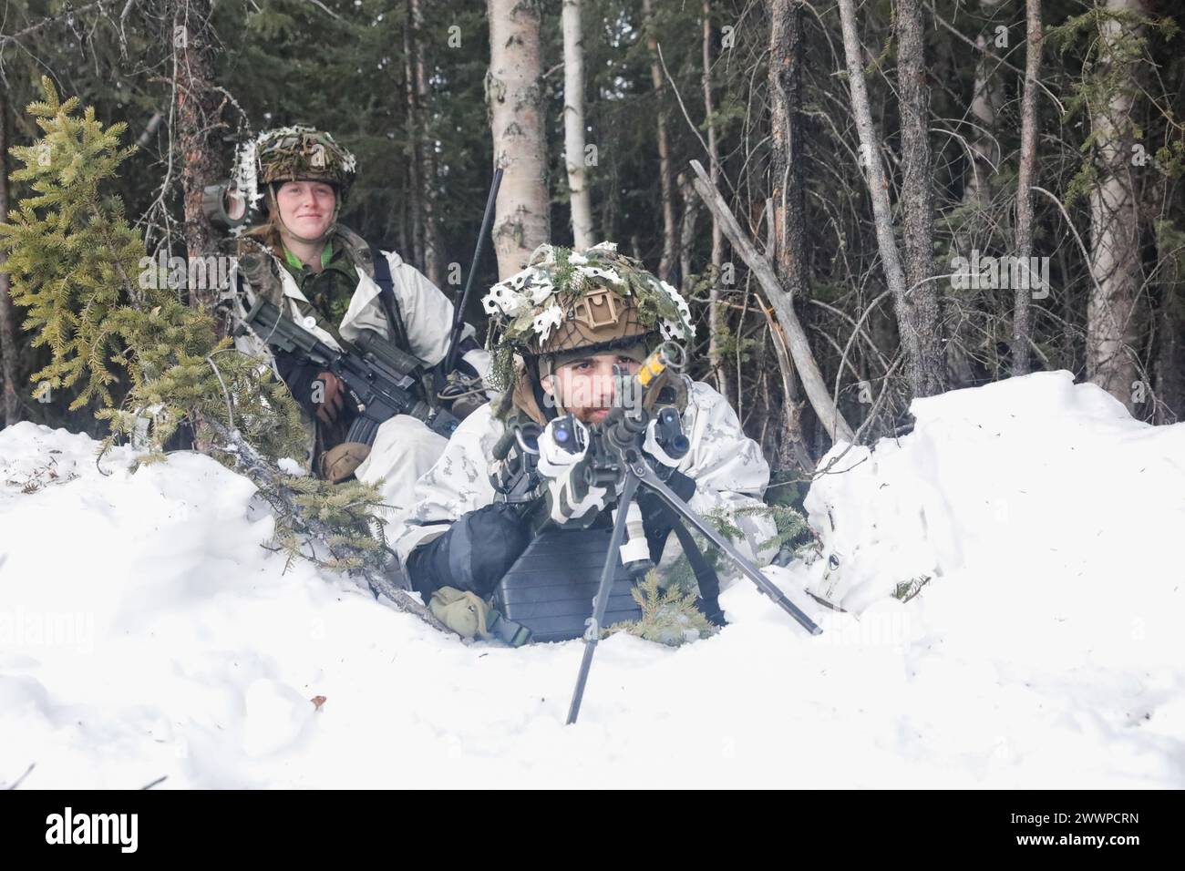 Canadian Soldiers from Alpha (Para) Company, 3rd Battalion, Princess ...