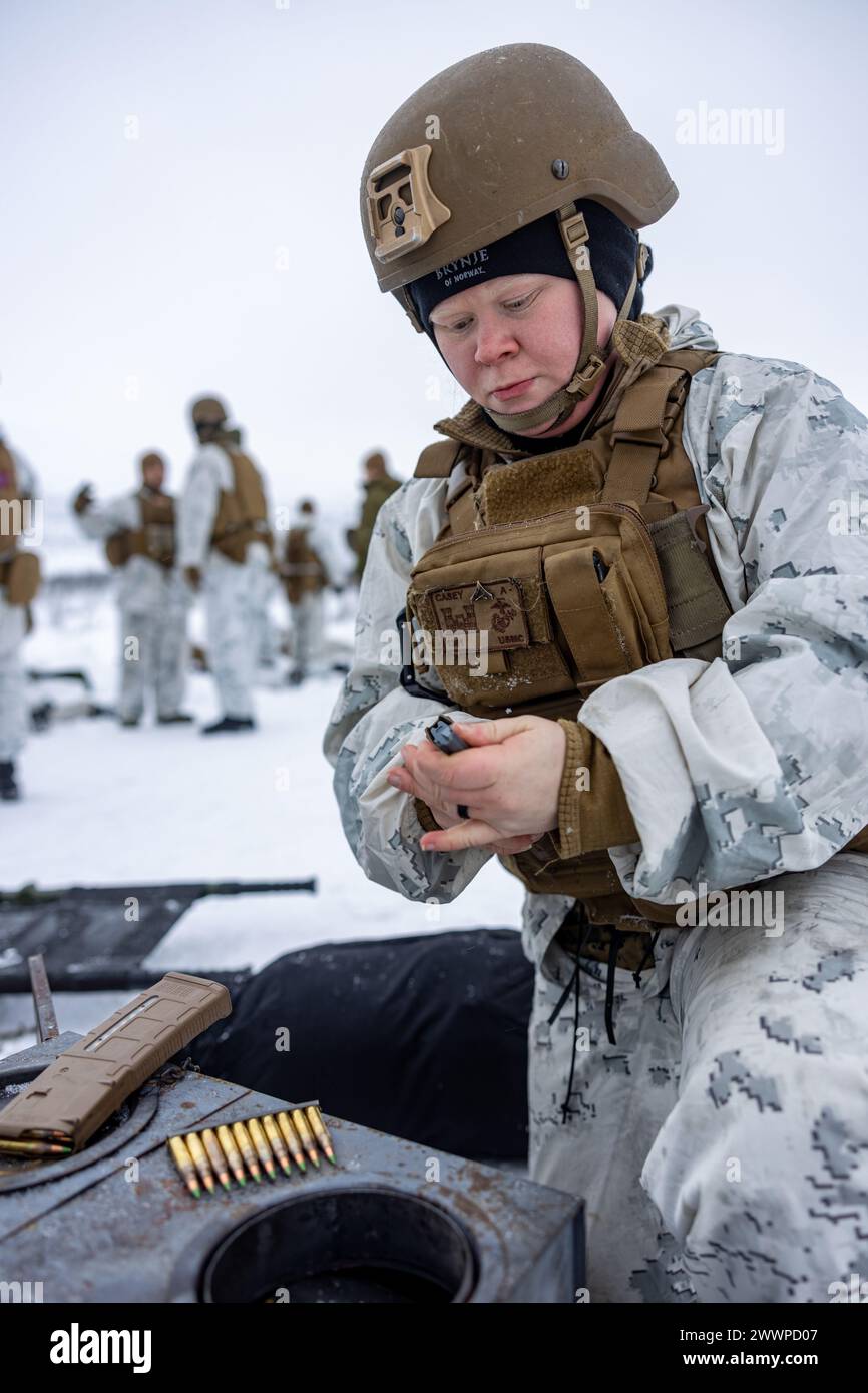 U.S. Marine Corps Cpl. Karol Casey, a surveyor with Combat Logistics ...