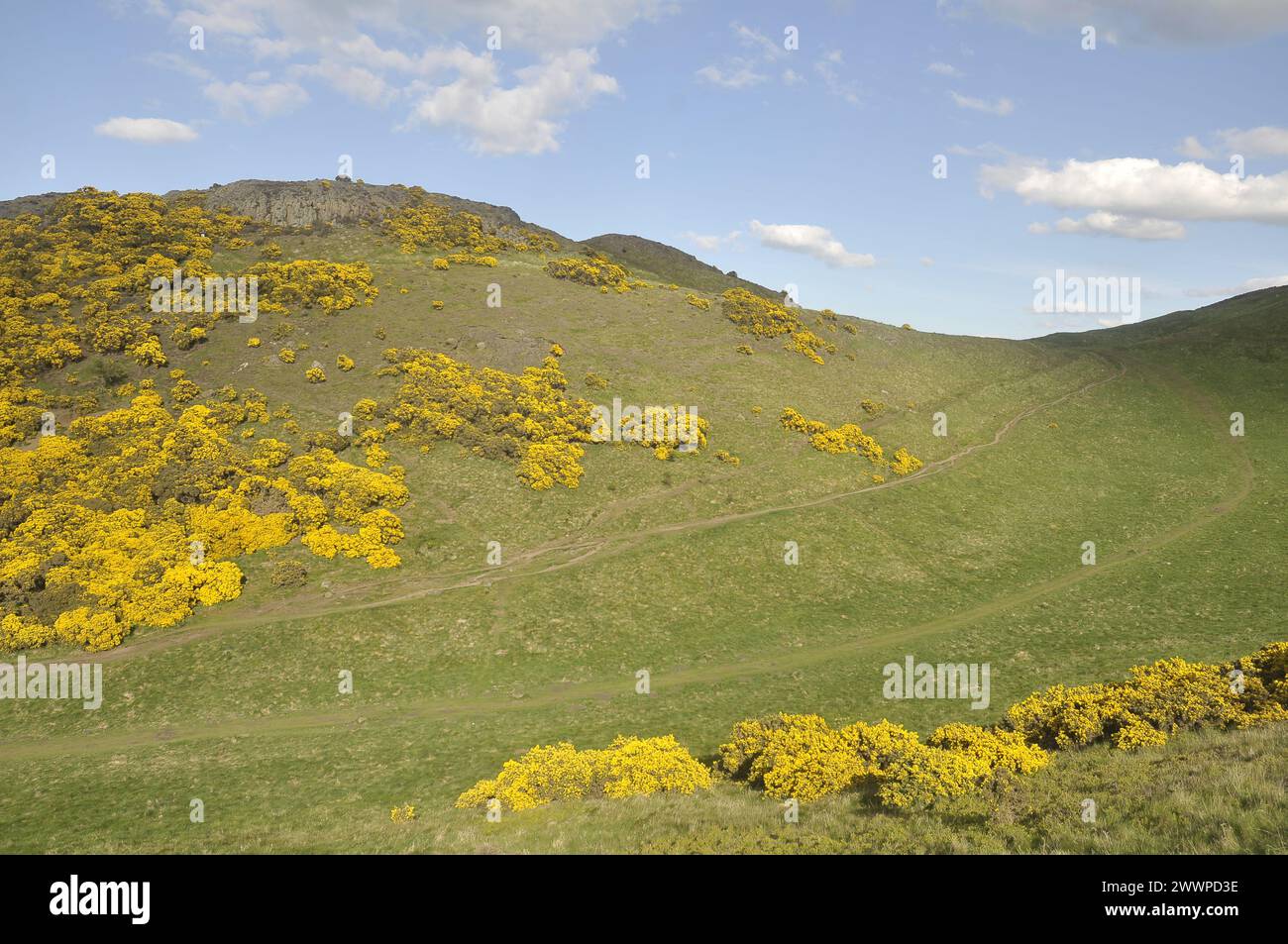 Georgian edimbourg hi-res stock photography and images - Alamy