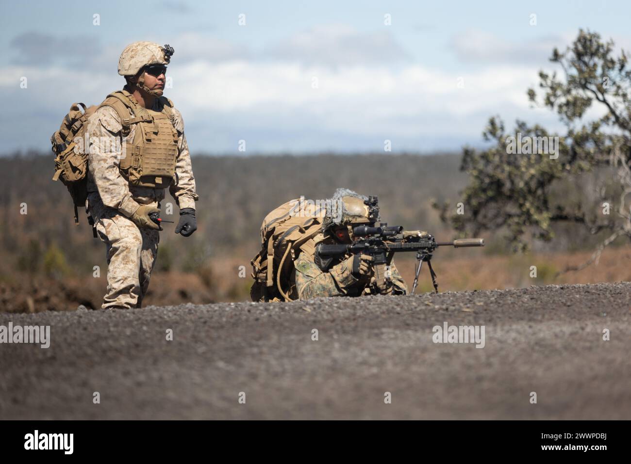 U.S. Marines with 3d Littoral Combat Team, 3d Marine Littoral Regiment ...