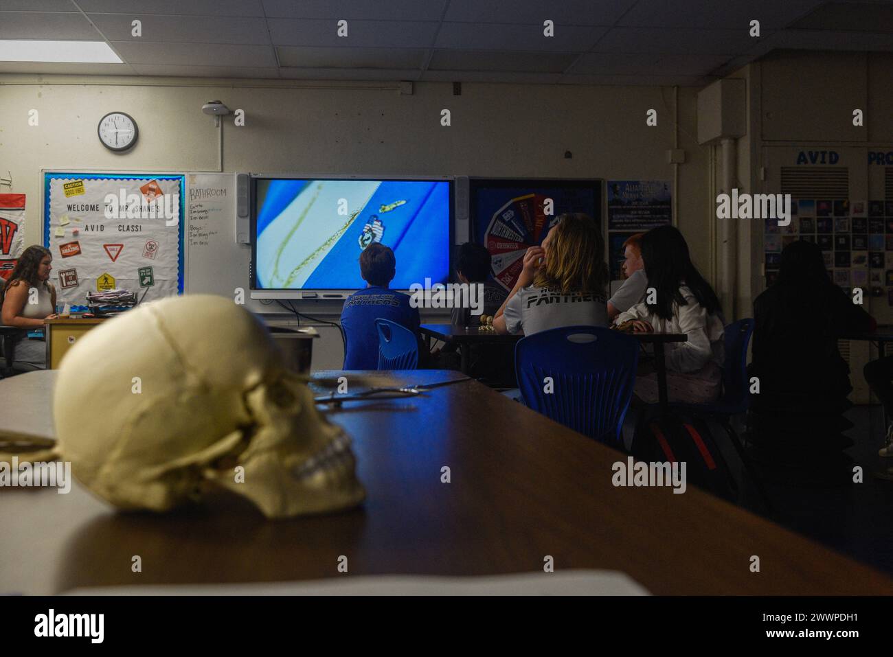 Students at Aliamanu Middle School watch an informational video during ...