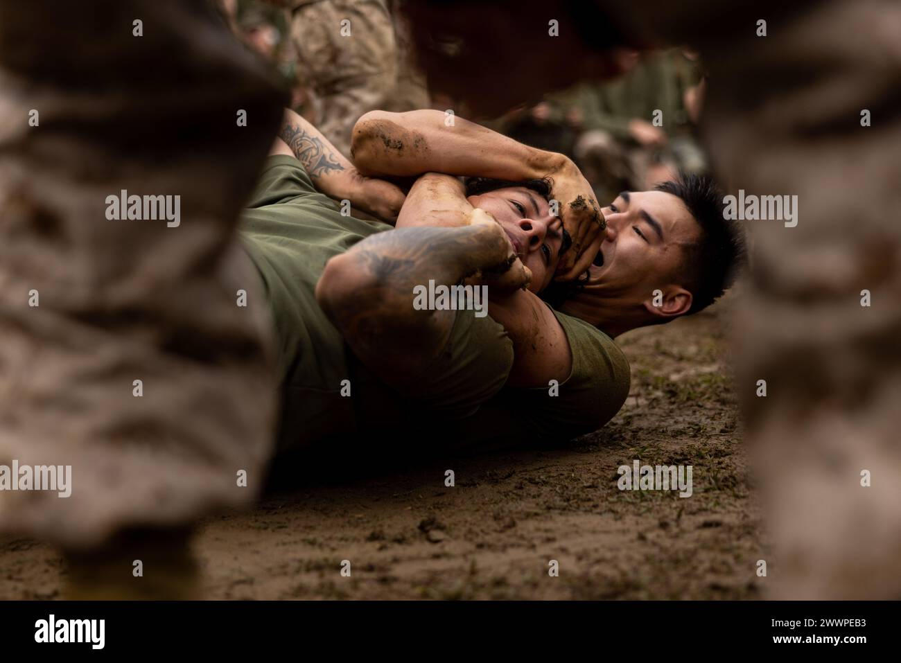 U.S. Marines with Marine Wing Support Squadron (MWSS) 172 and Marine ...