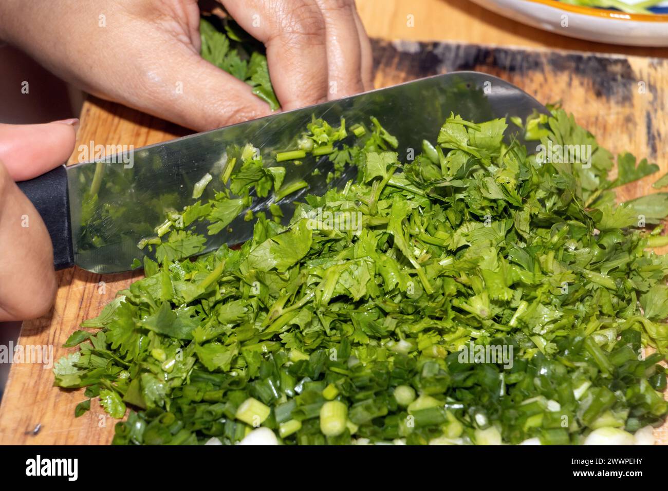 Slicing cilantro - coriander (Coriandrum sativum) on a kitchen cutting ...