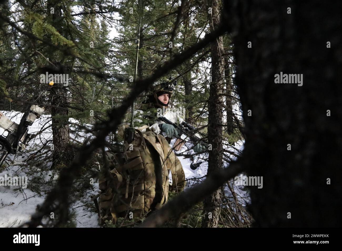 A Soldier assigned to Bravo Company, 70th Brigade Engineer Battalion ...
