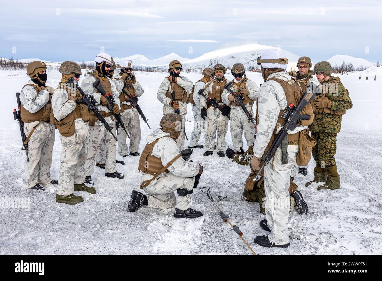 U.S. Marines assigned to Combat Logistics Battalion 6 , Combat ...