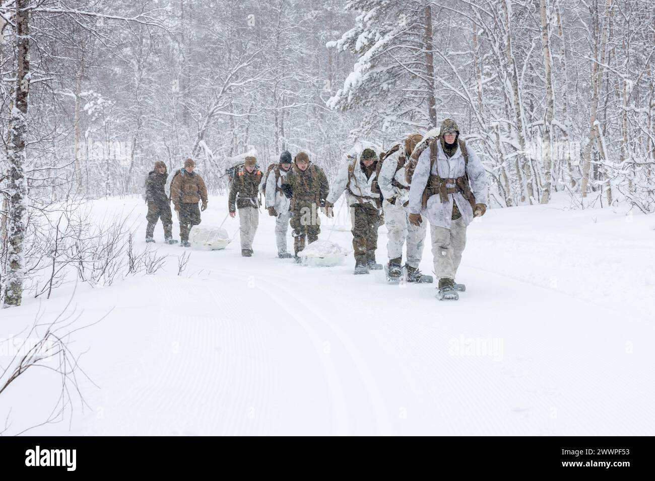 U.S. Marines with Combat Logistics Battalion 6, Combat Logistics ...