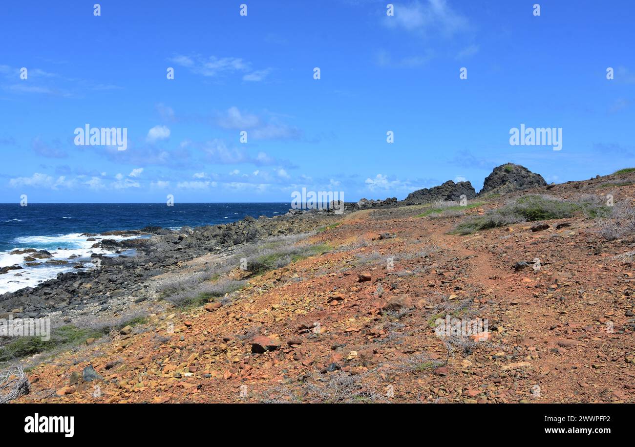Rural and rugged coastline along Aruba in the Spring Stock Photo - Alamy