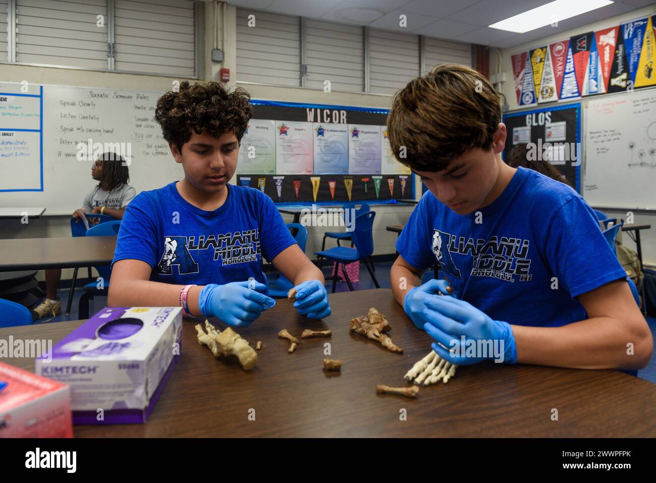 Students at Aliamanu Middle School participate in various activities ...