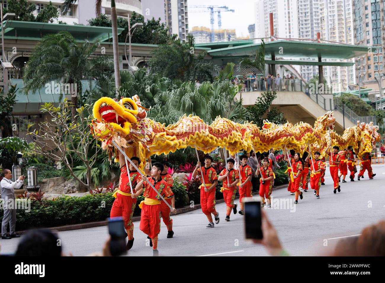 Vibrant Chinese Lion Dance Performance in Cultural Celebration Stock ...