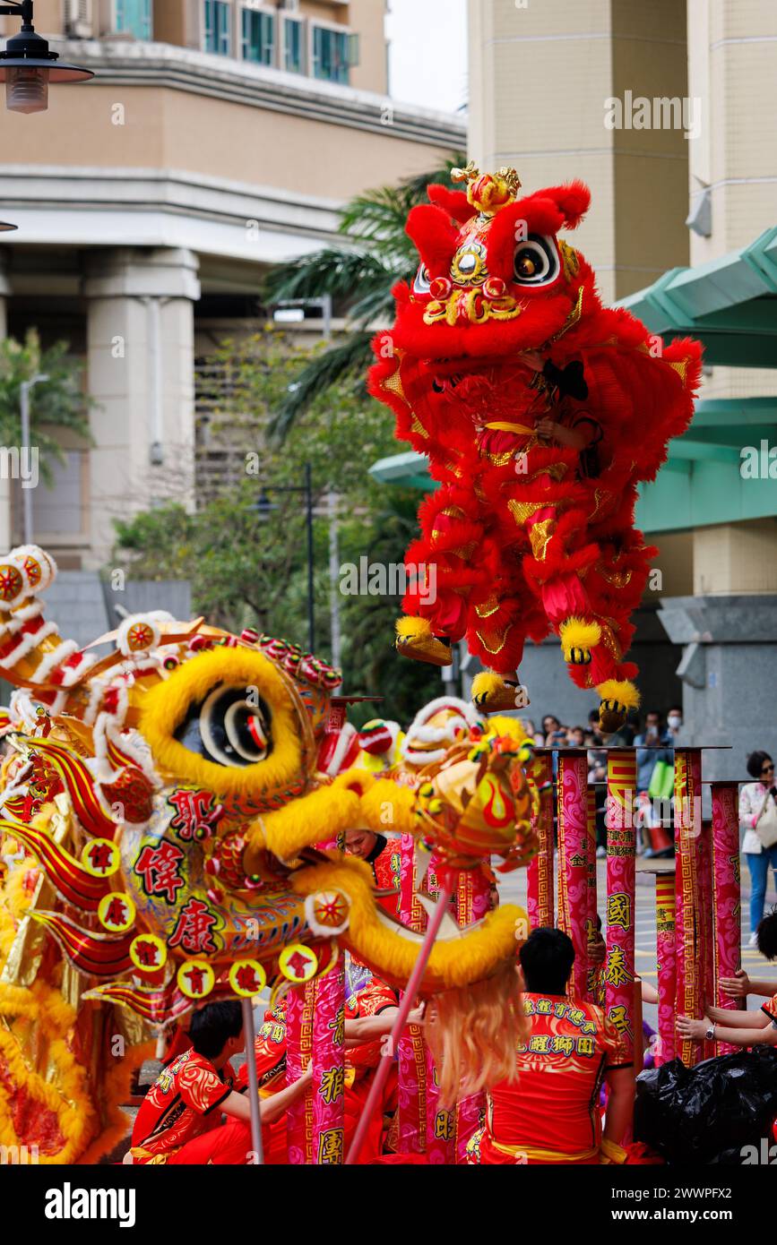 Vibrant Chinese Lion Dance Performance in Cultural Celebration Stock ...