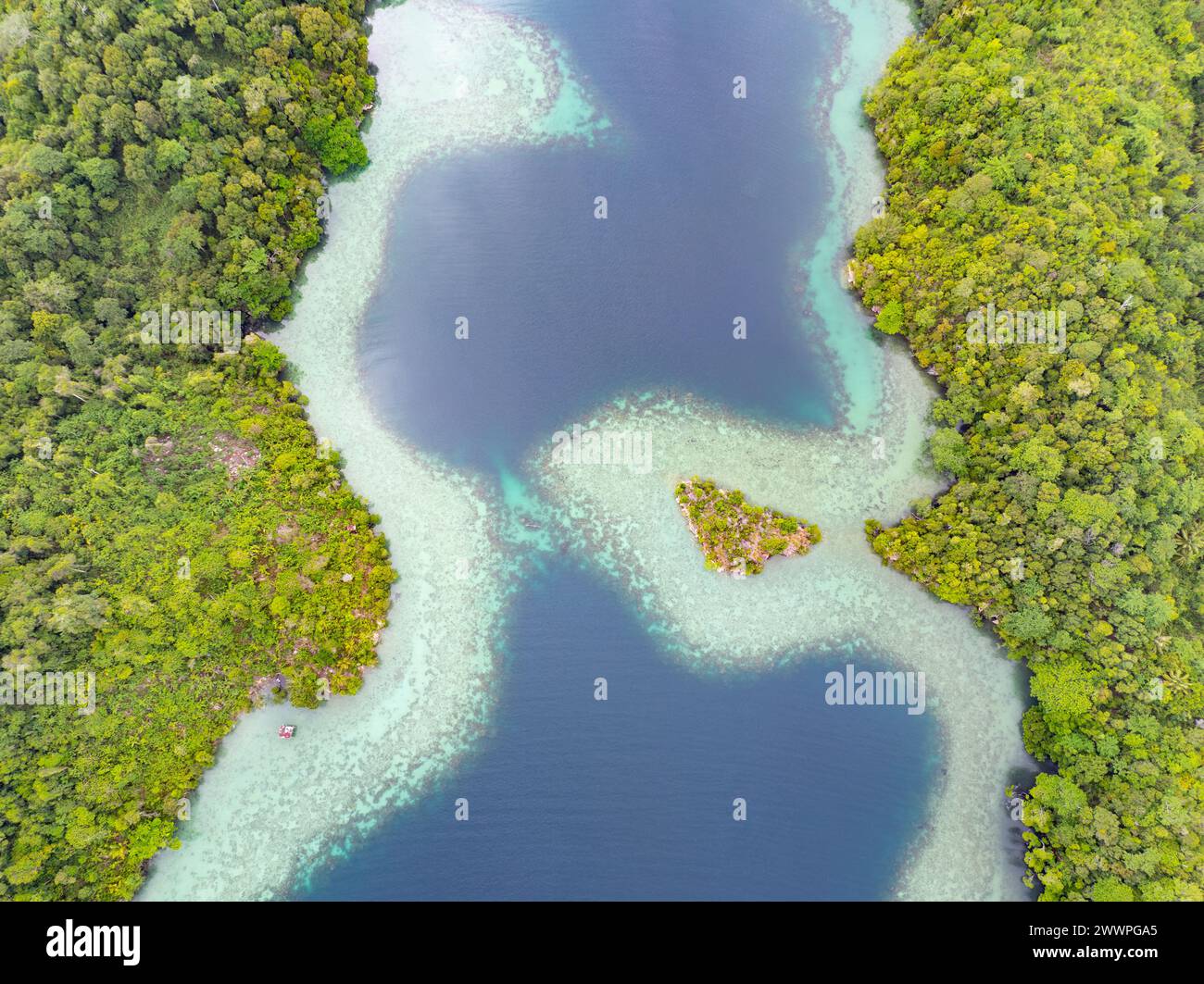 Limestone islands, fringed by reef, rise from Raja Ampat's tropical ...