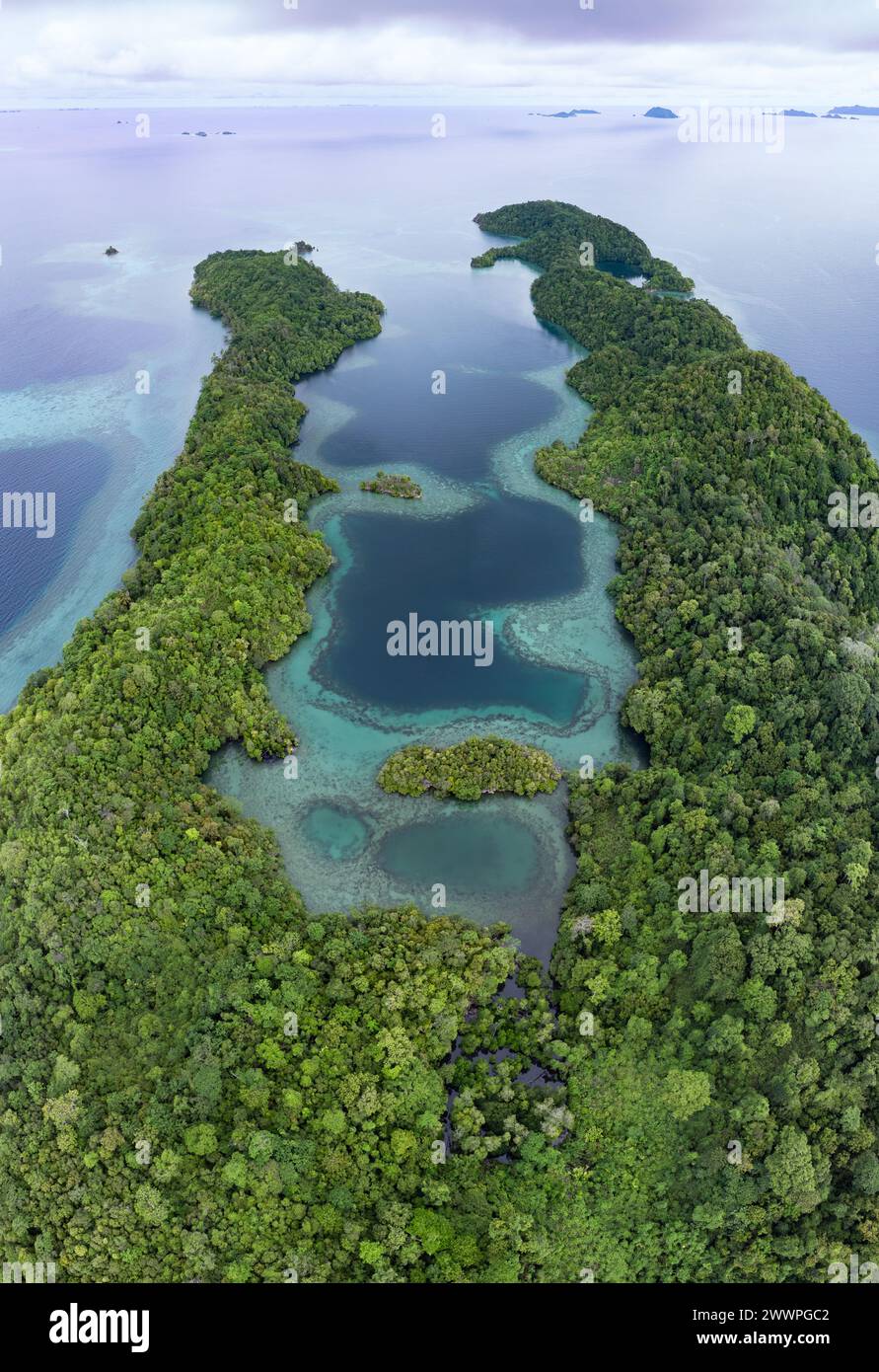 Limestone islands, fringed by reef, rise from Raja Ampat's tropical ...