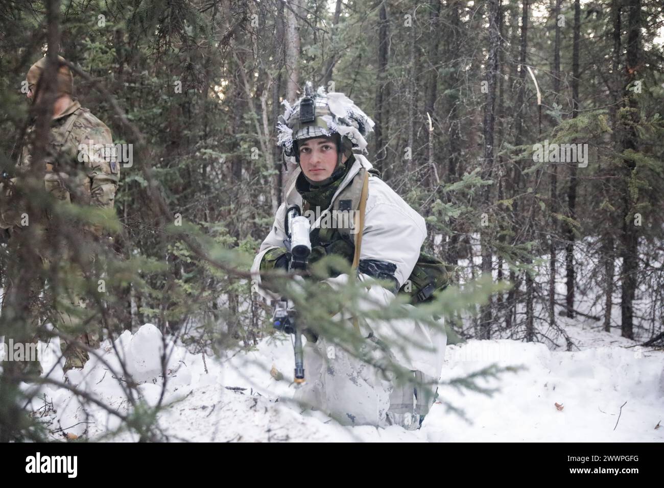 A Canadian Soldier from Alpha (Para) Company, 3rd Battalion, Princess ...