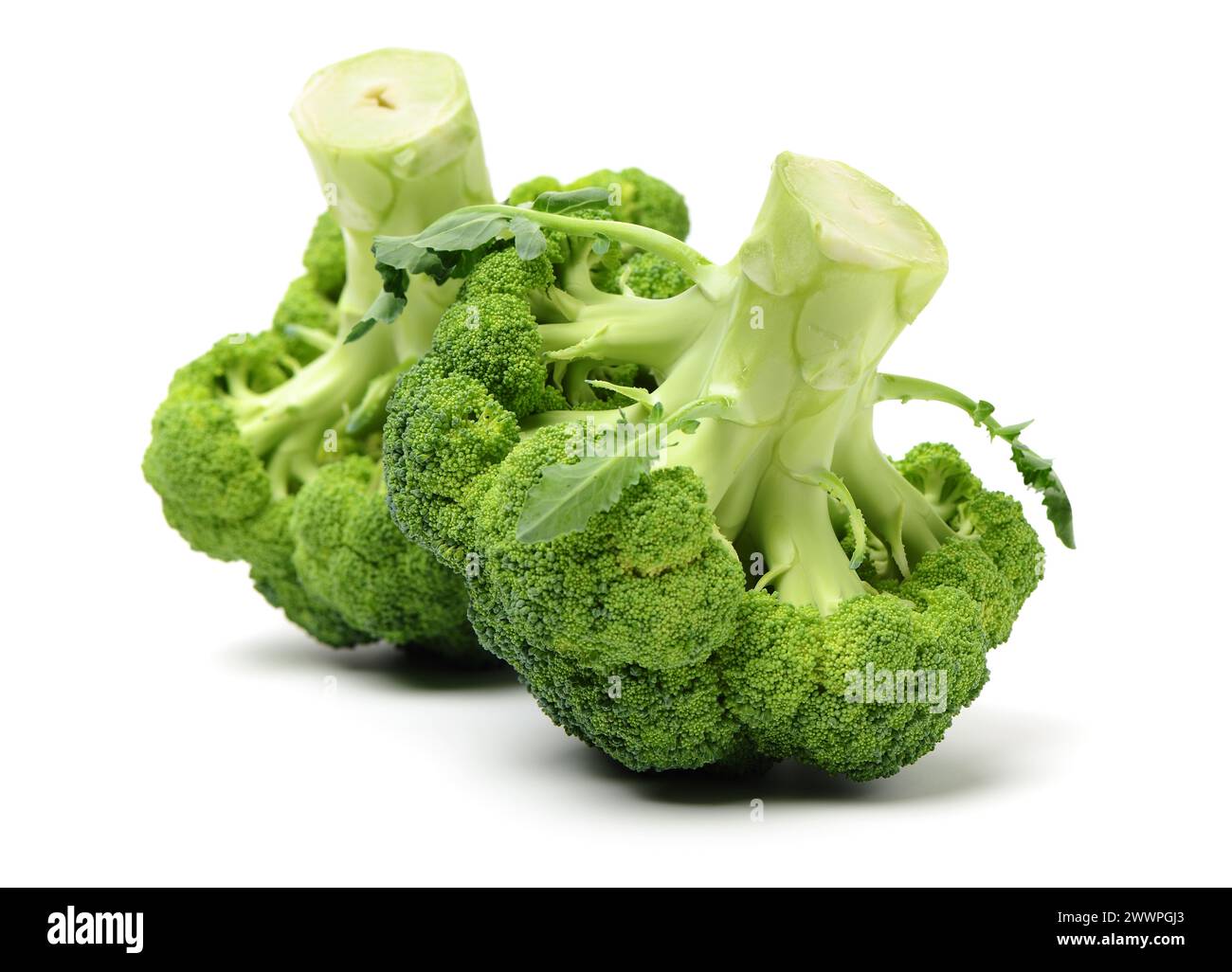 Broccoli vegetable isolated on white background Stock Photo - Alamy
