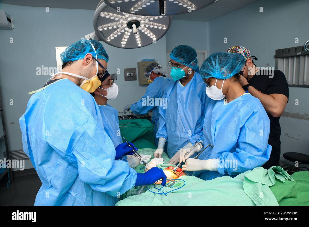 240222-N-FB730-1059 SAN PEDRO SULA, HONDURAS (Feb. 22, 2024) Lt. Cmdr ...