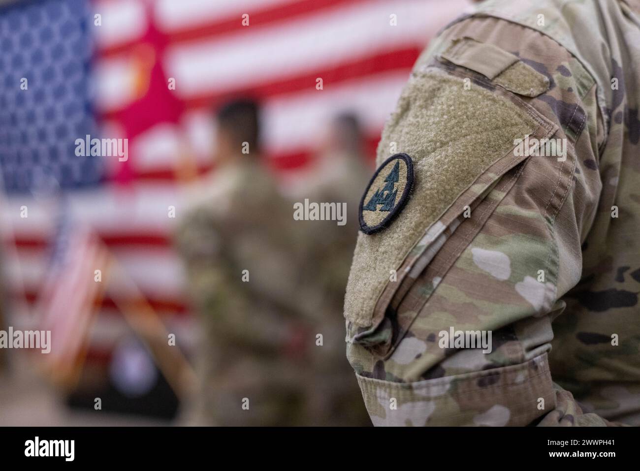 U.S. Army Soldier assigned to 8th Ordnance Company, 264th Combat ...