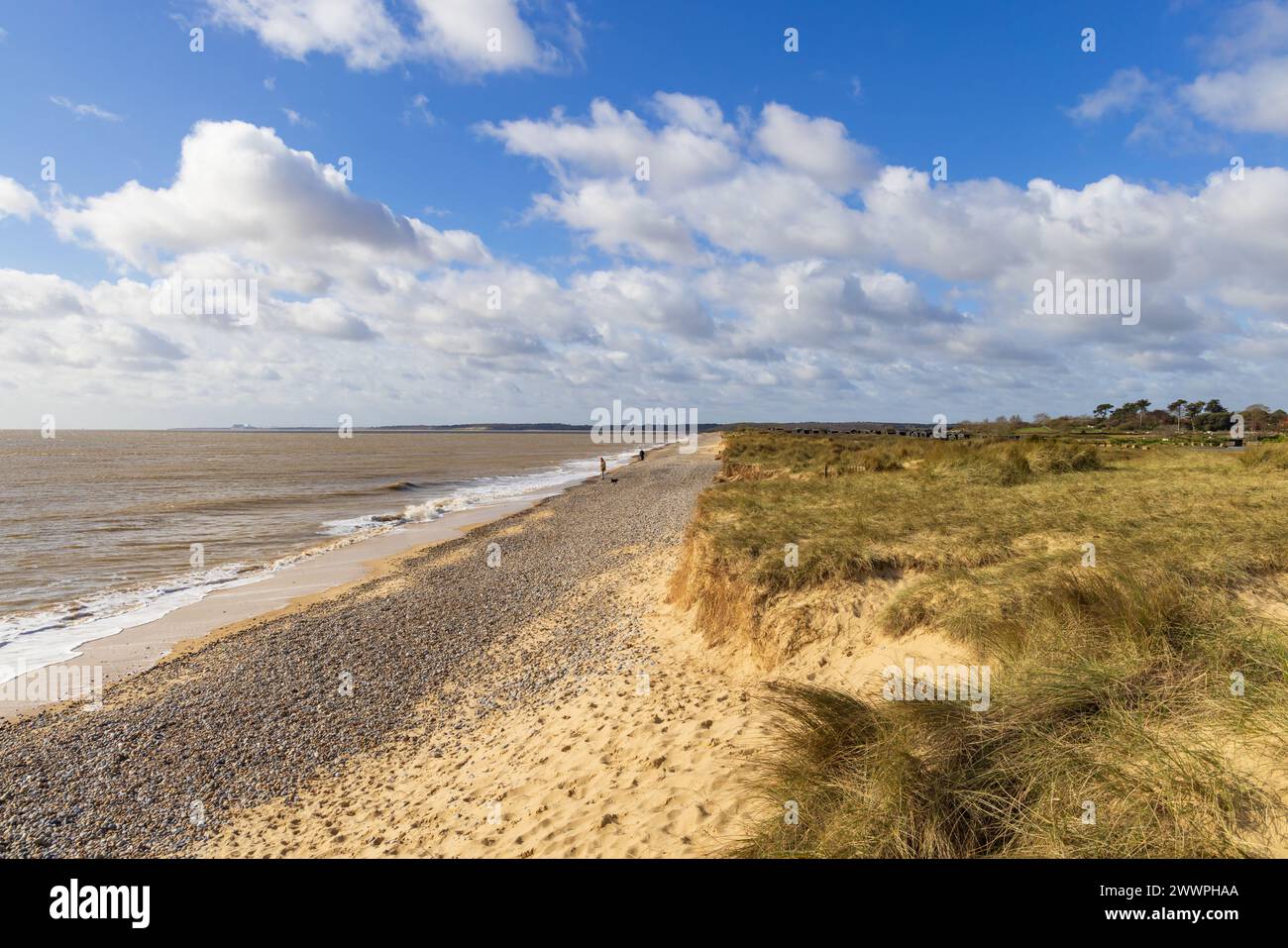Lionlink hi-res stock photography and images - Alamy