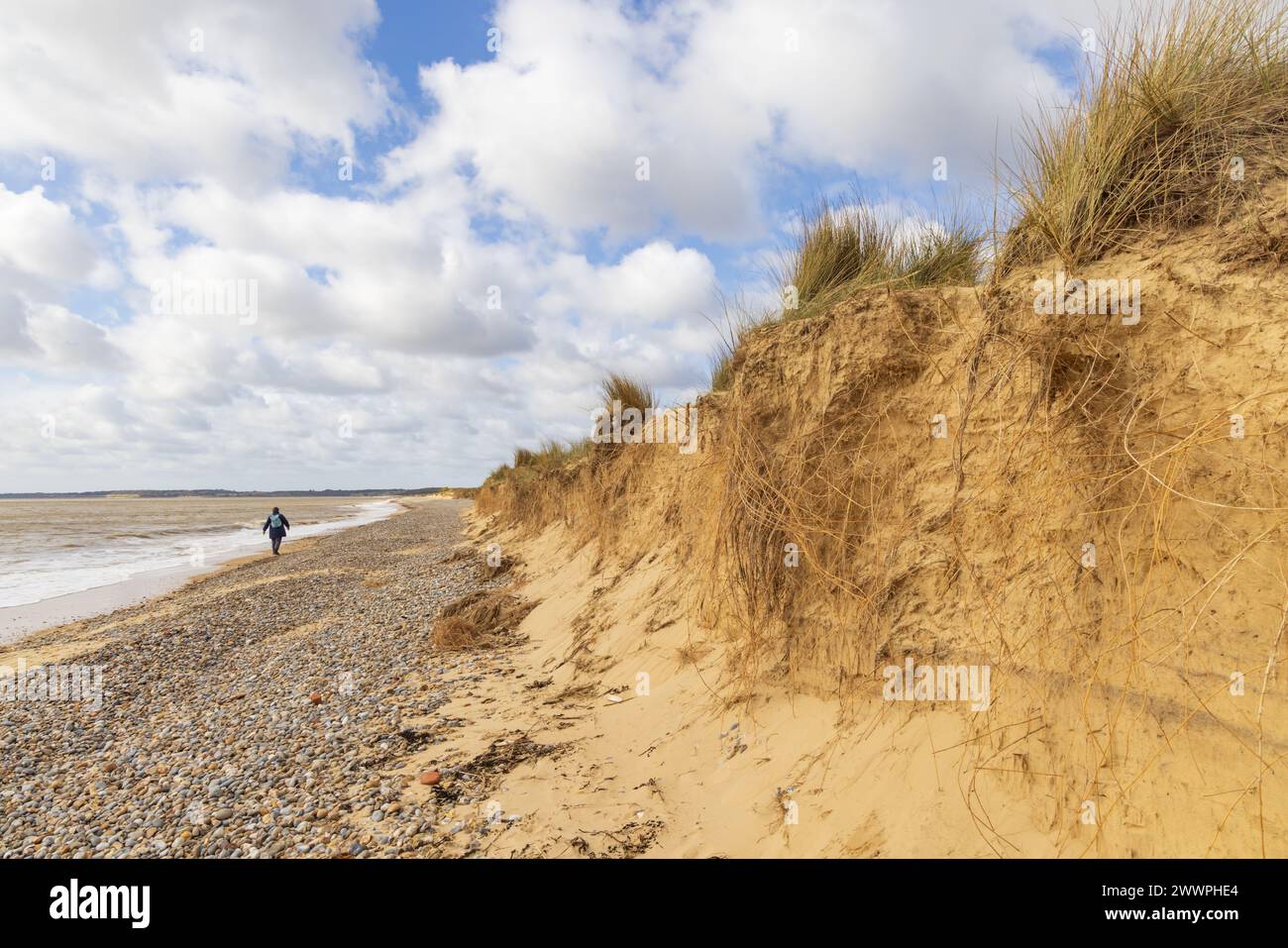 Sand dune management hi-res stock photography and images - Alamy