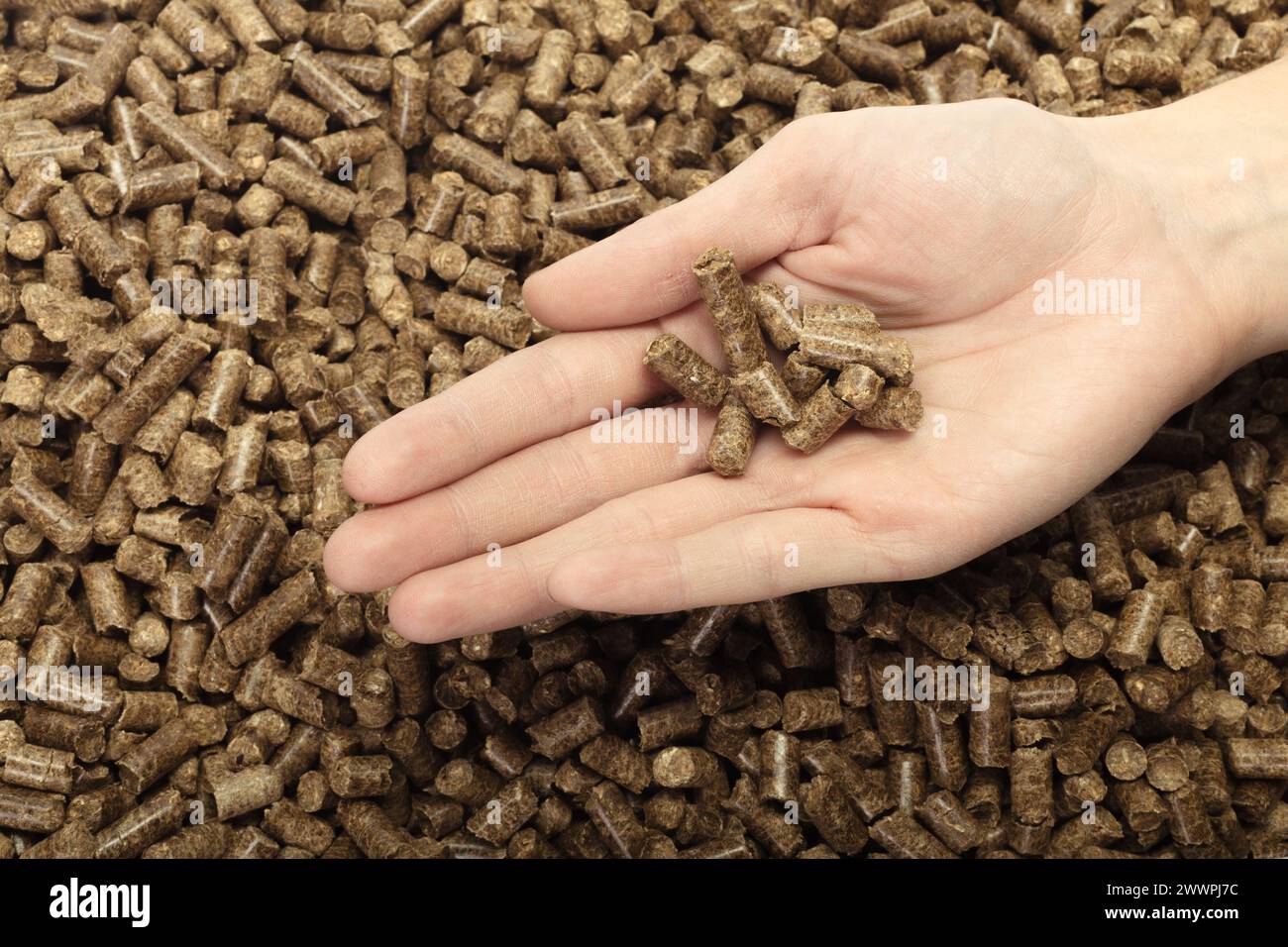 Human hand holding solid wooden pellets Stock Photo - Alamy