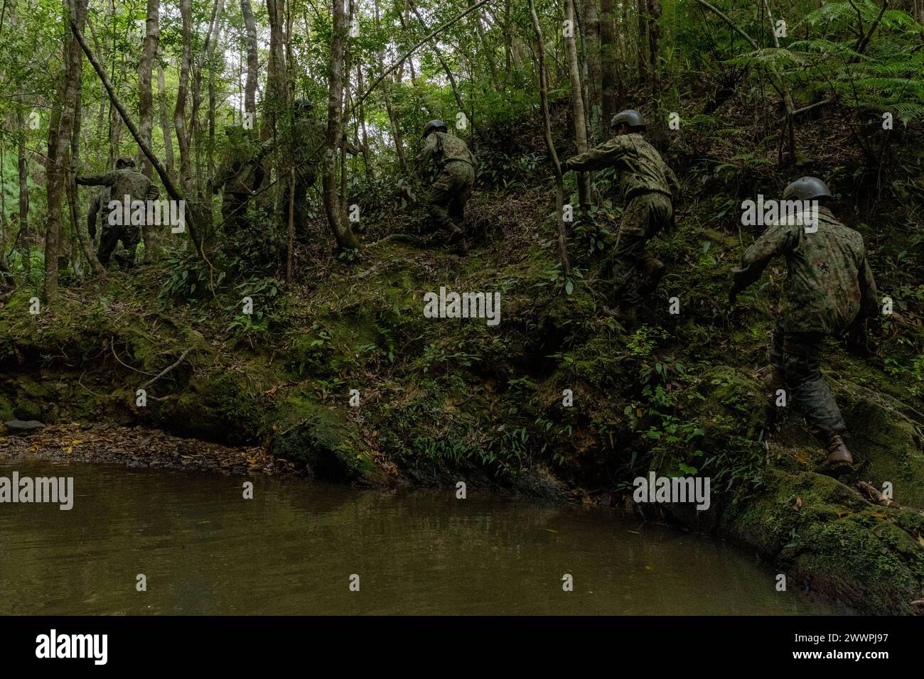 Soldiers with the Amphibious Rapid Brigade Recon Company, Japan Ground ...