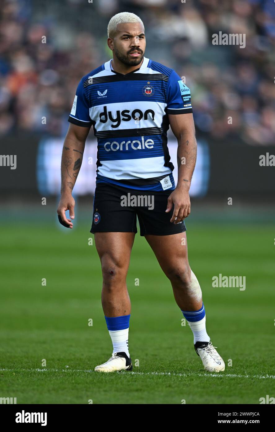 2024 gallagher rugby premiership hi-res stock photography and images ...