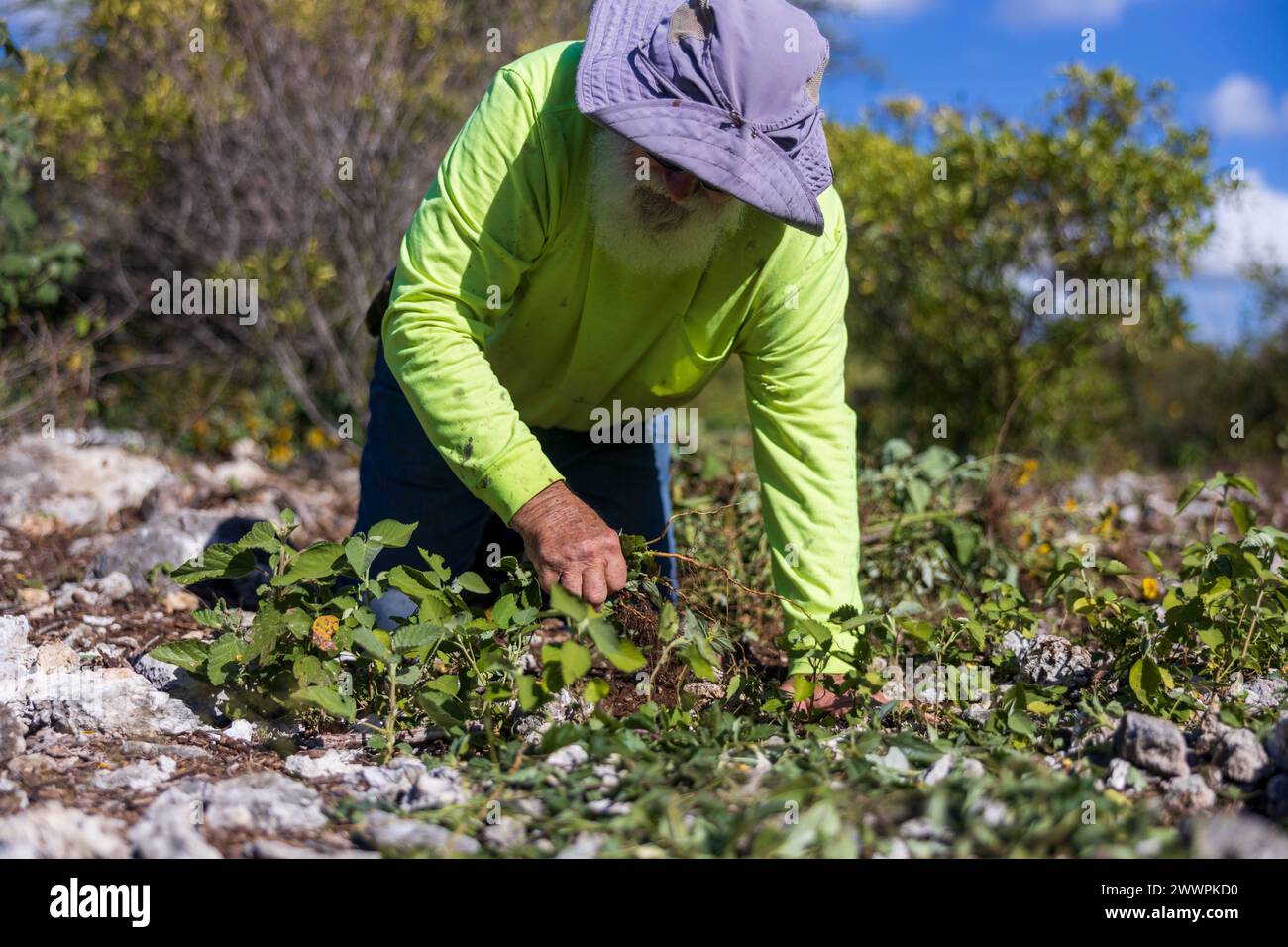 Kalaeloa heritage park hi-res stock photography and images - Alamy