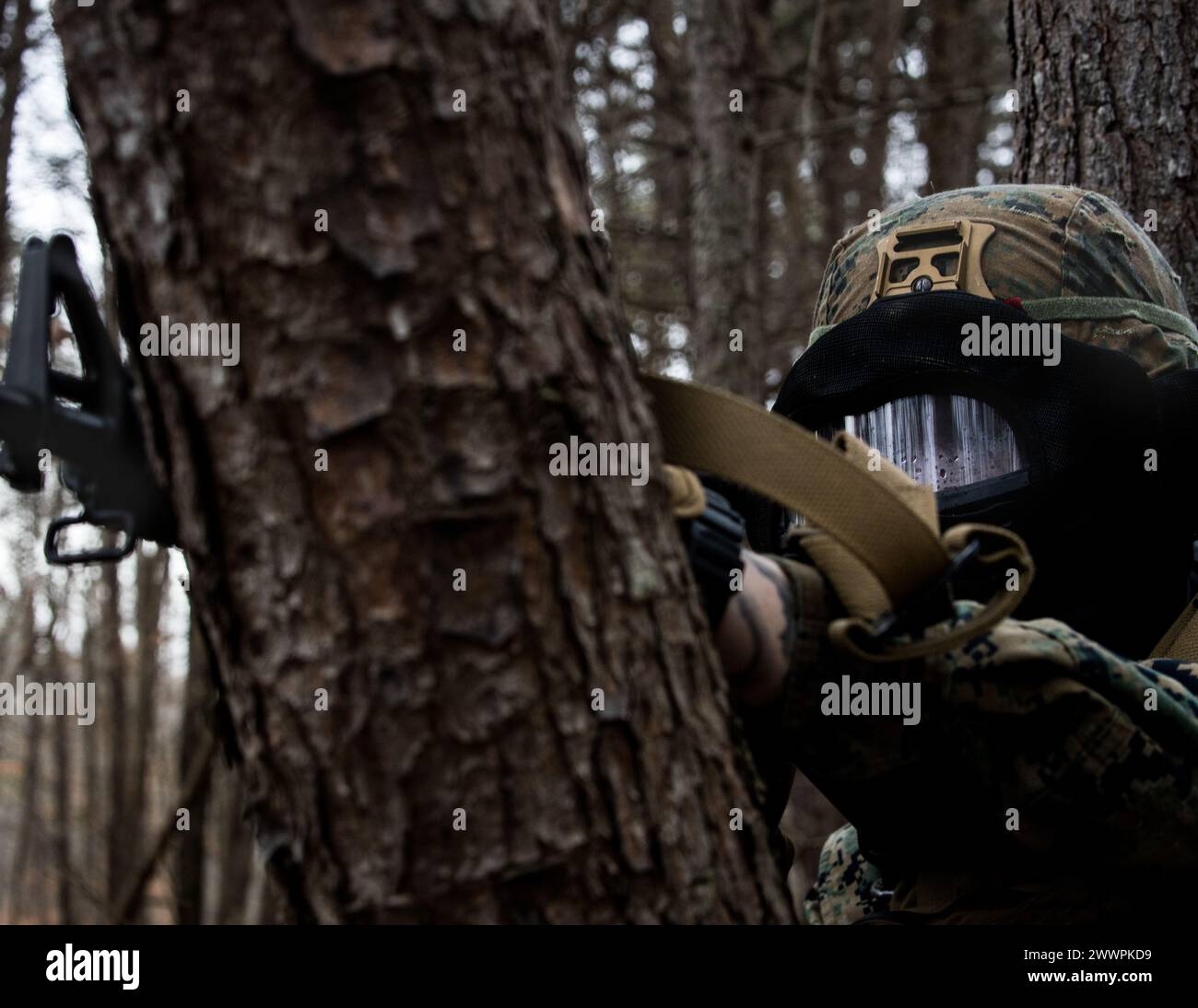 Lance Corporal Mitchell L. Staples, rifleman, Bravo Company, Marine ...