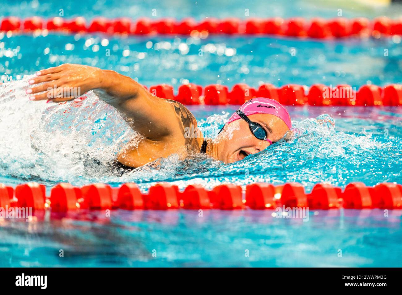 Anna EGOROVA (FFN), women 800m freestyle swimming final, during the ...