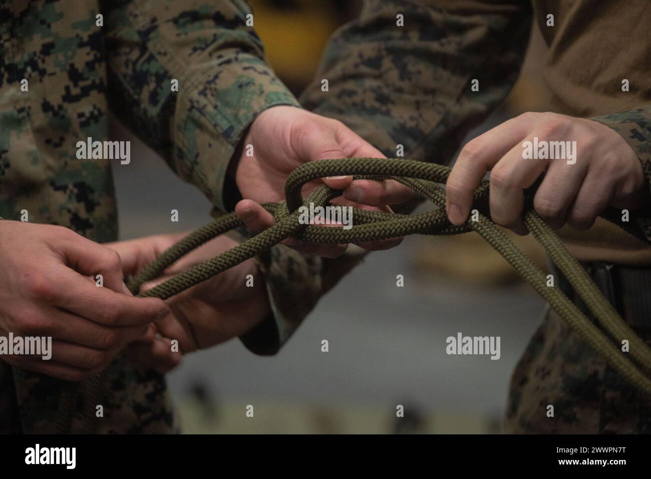 U.S. Marine Corps Cpl. James Steinhaus with Marine Medium Tiltrotor ...