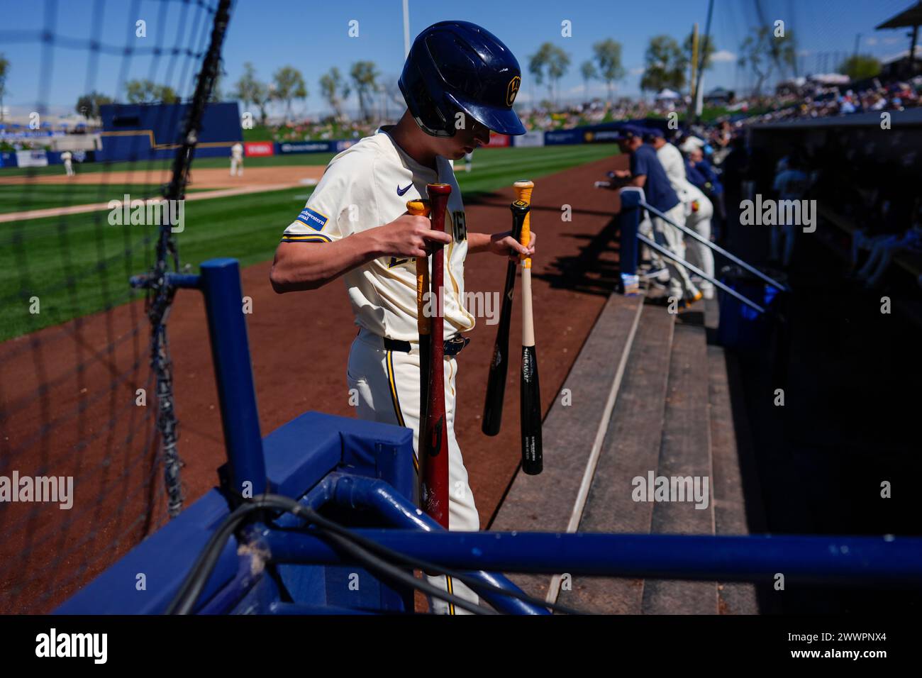 Milwaukee Brewers batboy Nick Pesch organizes bats during a spring ...
