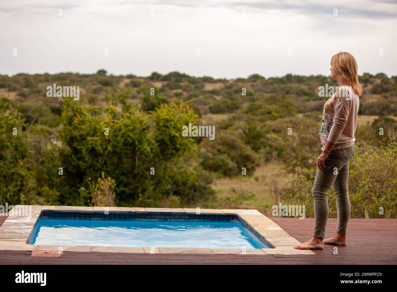 Woman enjoying the view from a swimming pool over the African bush in ...