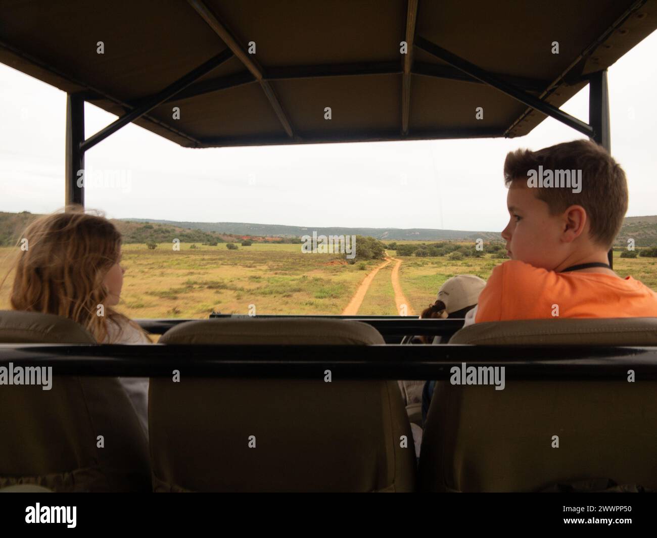 A young boy and girl sitting in a landrover defender safari game ...