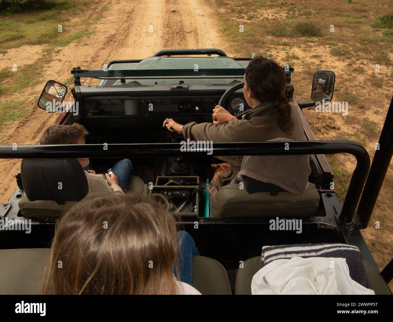 A safari driver/guide in front driving seat of landrover defender ...