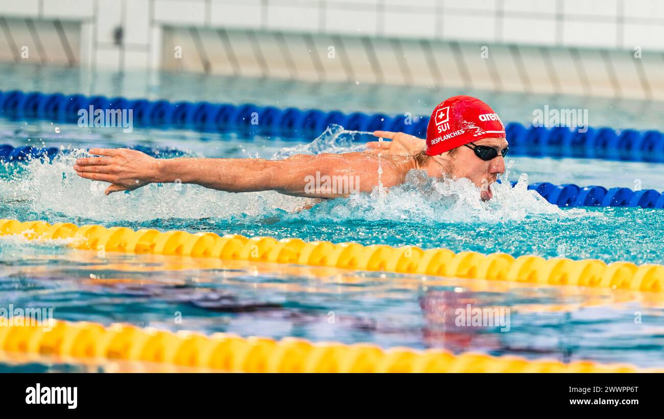 Jeremy DESPLANCHES (SUI), men 400m medley final, during the Giant Open ...