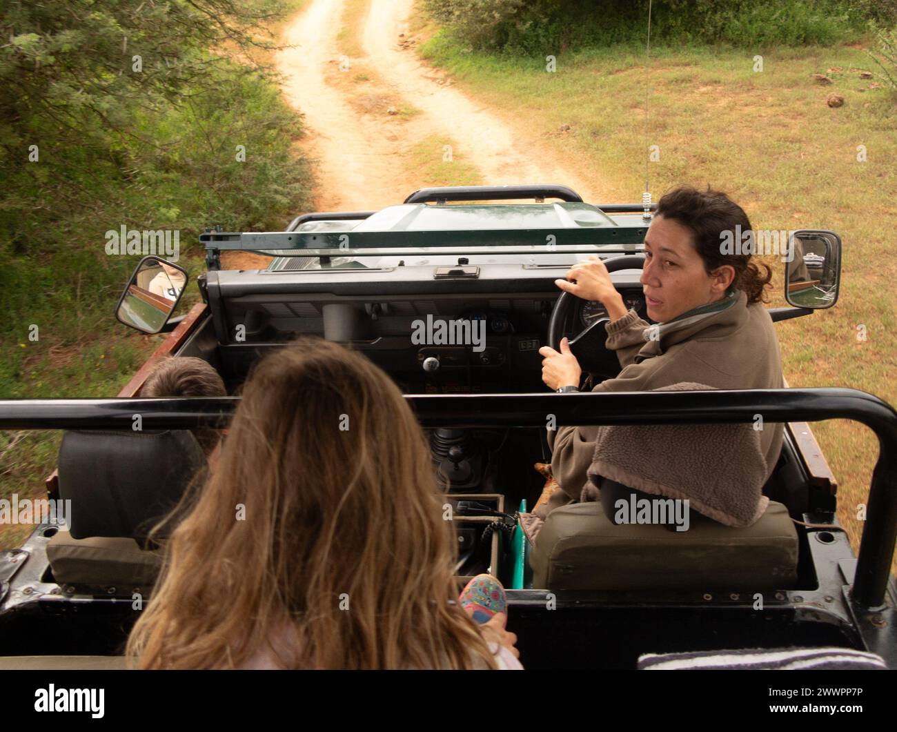 A safari driver/guide in front driving seat of landrover defender ...