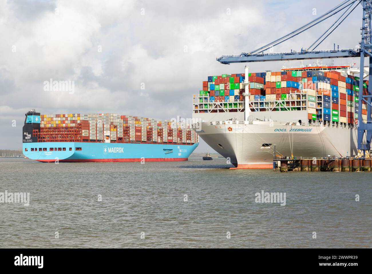 Ane Maersk container ship arriving at Port of Felixstowe, Suffolk ...