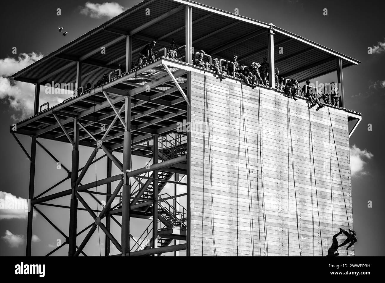 Air Assault candidates rappel off the rappel towers on Camp Buehring ...
