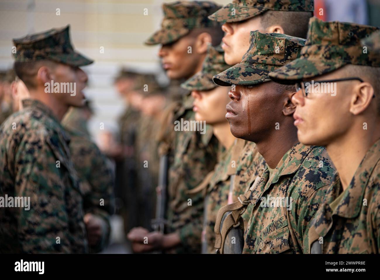 New U.S. Marines of Delta Company, 1st Recruit Training Battalion ...