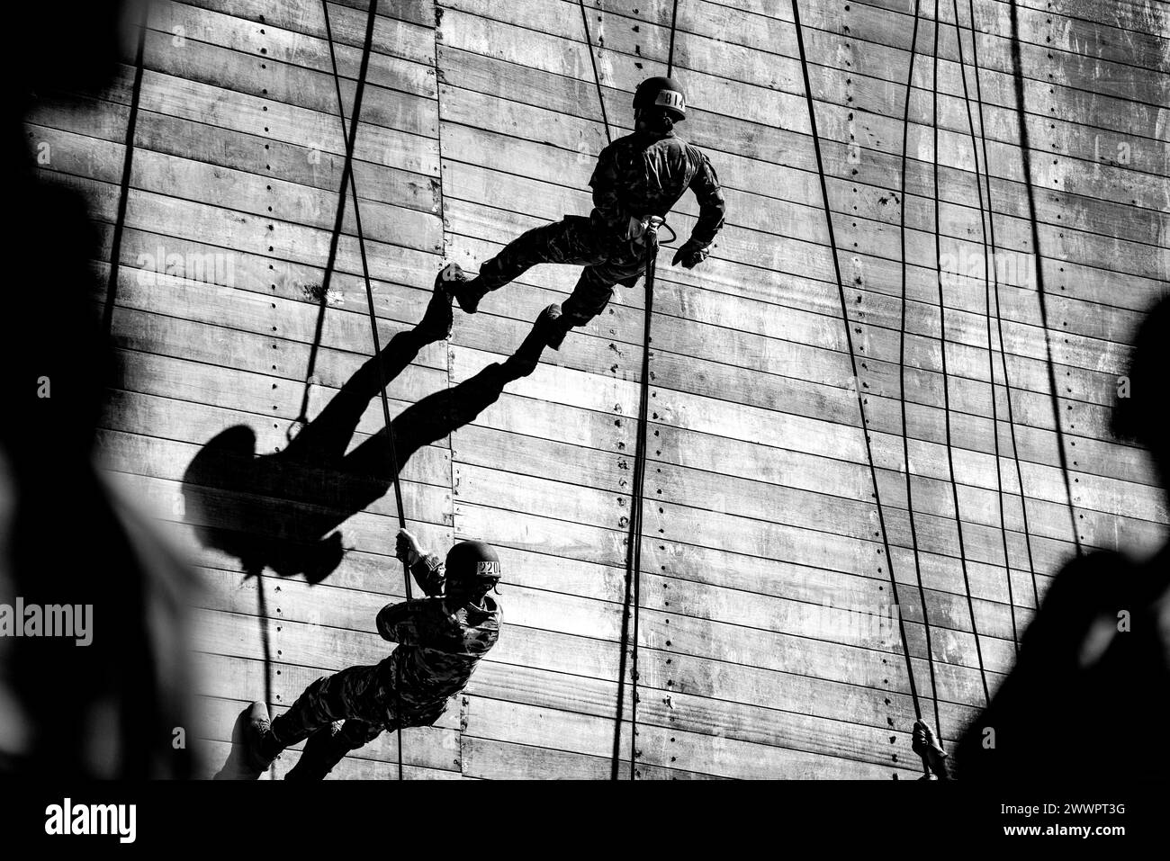 Air Assault candidates rappel off the rappel towers on Camp Buehring ...