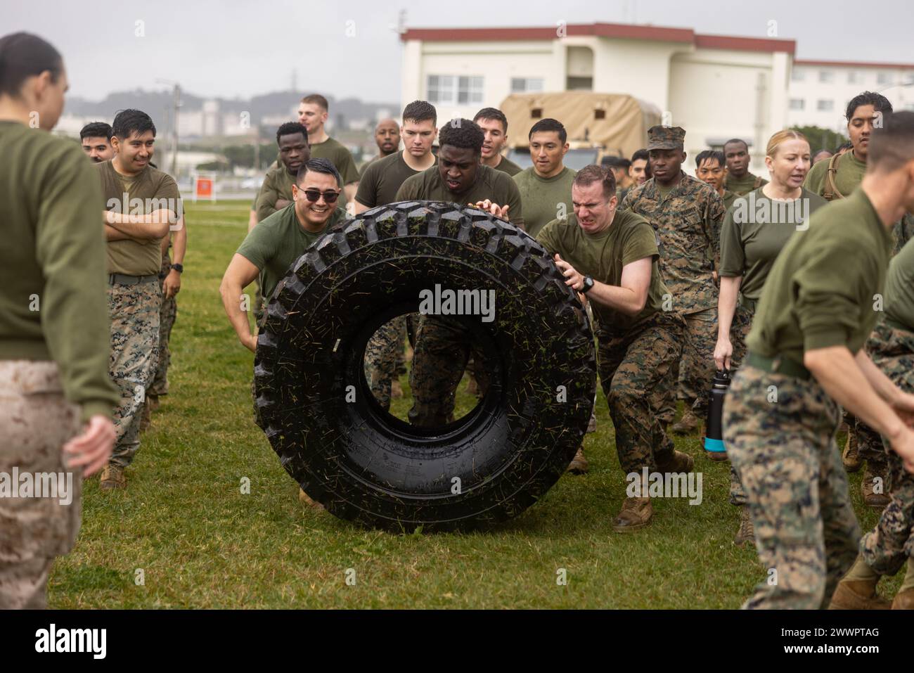 U.S. Marines with Marine Aviation Logistics Squadron (MALS) 36 ...