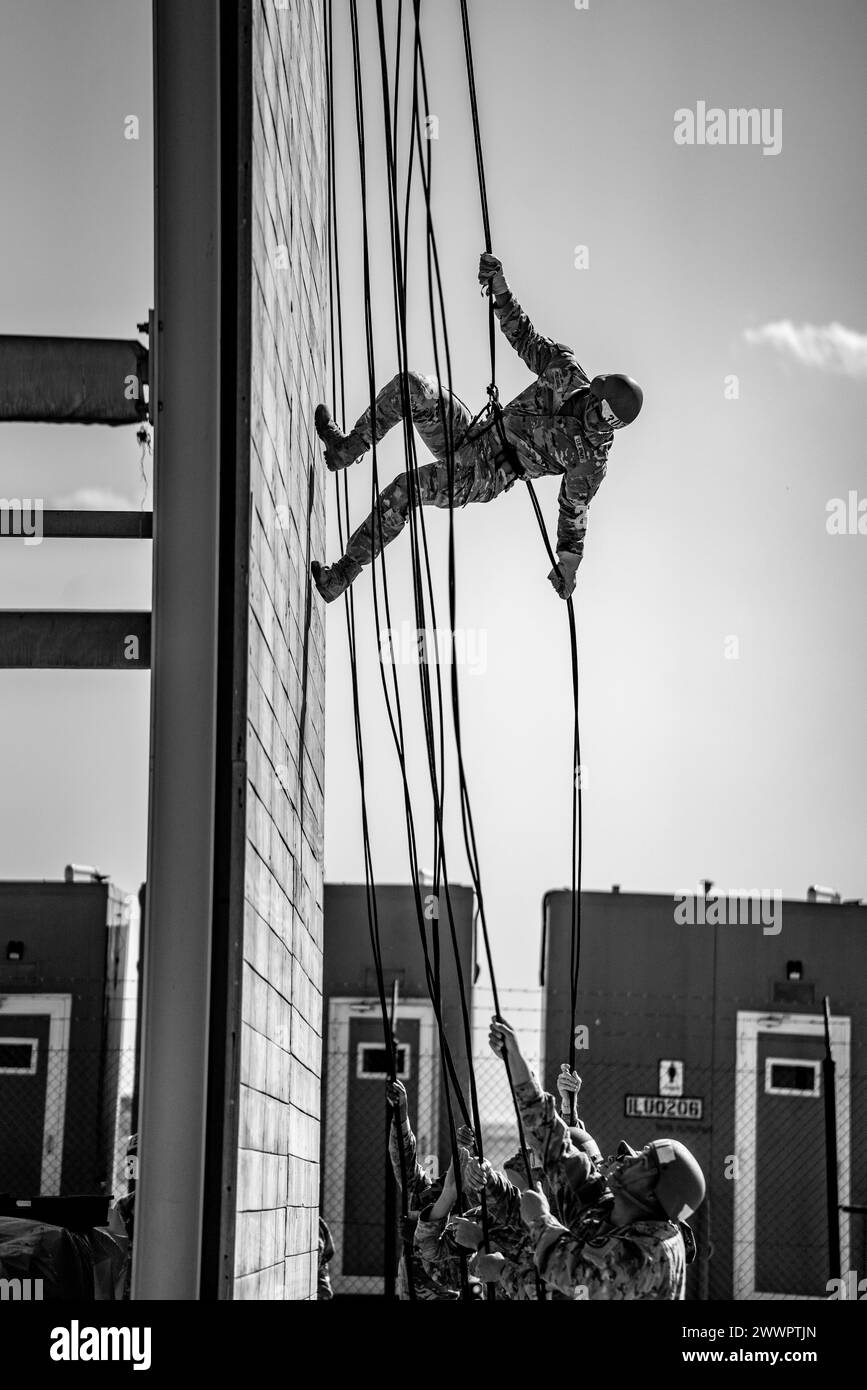 Air Assault candidates rappel off the rappel towers on Camp Buehring ...