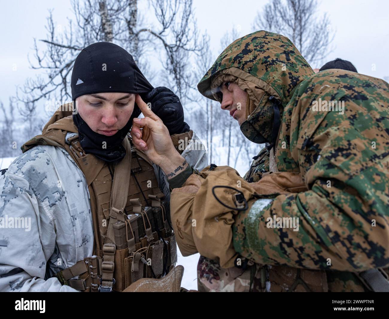 U.S. Marine Corps Sgt. Austin Lopez, a machine gunner and a NATO Winter ...