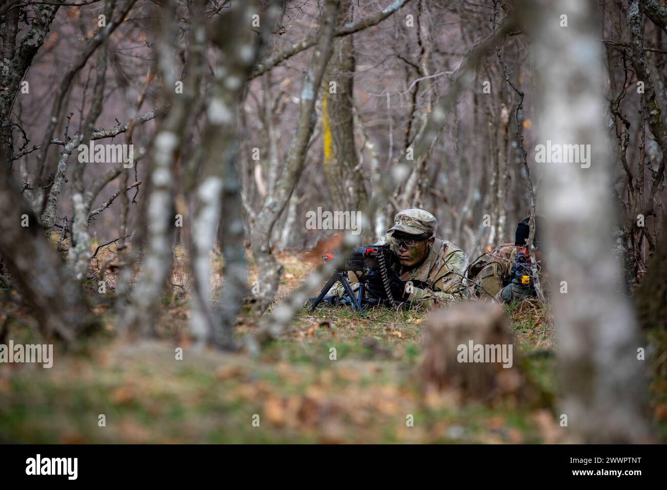 A U.S. Army Soldier from 1st Battalion, 6th Infantry Regiment, 2nd ...